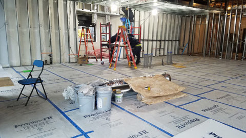 PROPLEXFR 250 | Entry Point USA